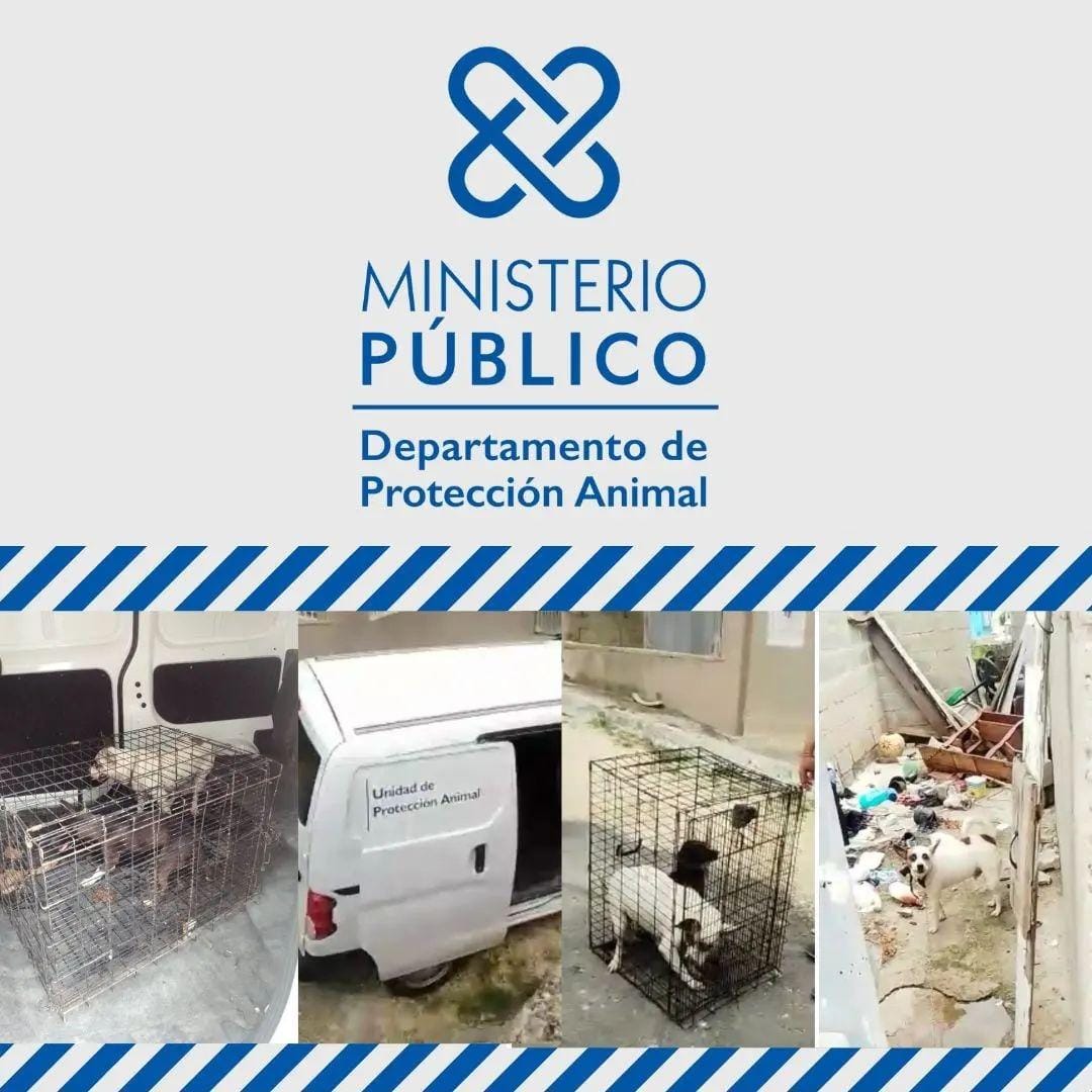 FEDDA denuncia el Ministerio Público desmanteló el Departamento de ...